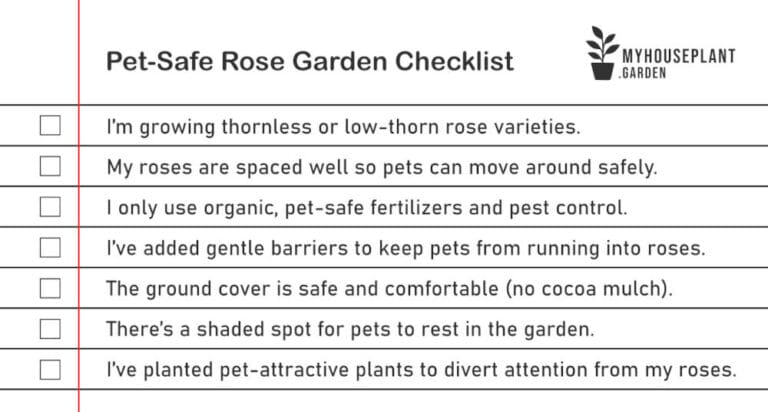 Top 7 Pet Roses That Won’t Harm Your Dog or Cat